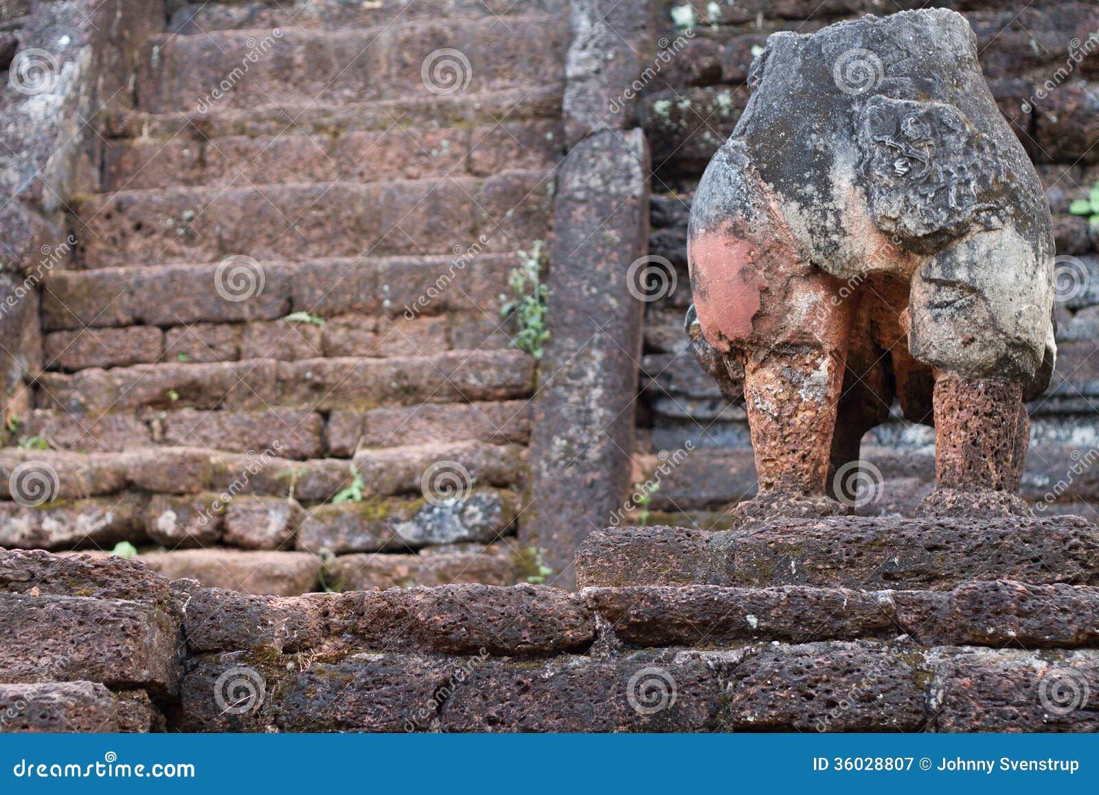 Broken elephant stock image. Image of hard, natural, scale - 36028807