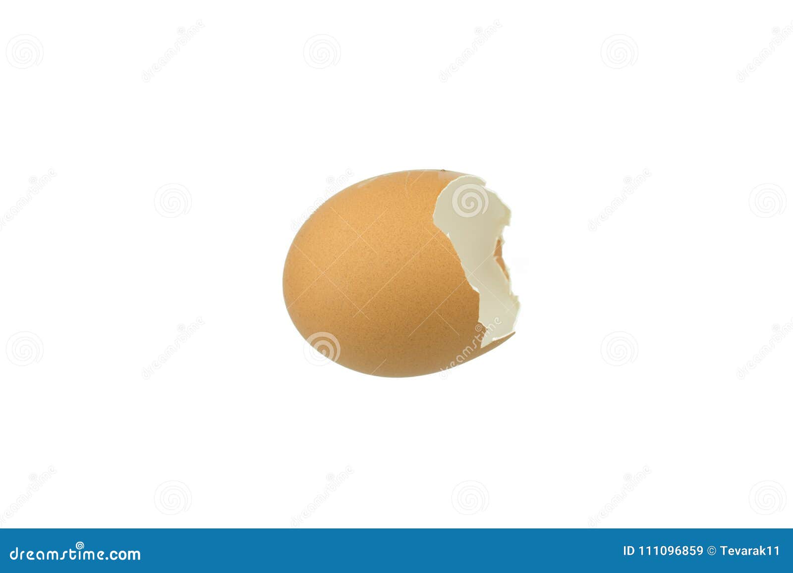Broken Empty Egg Shell Isolated on White Background Stock Image - Image ...