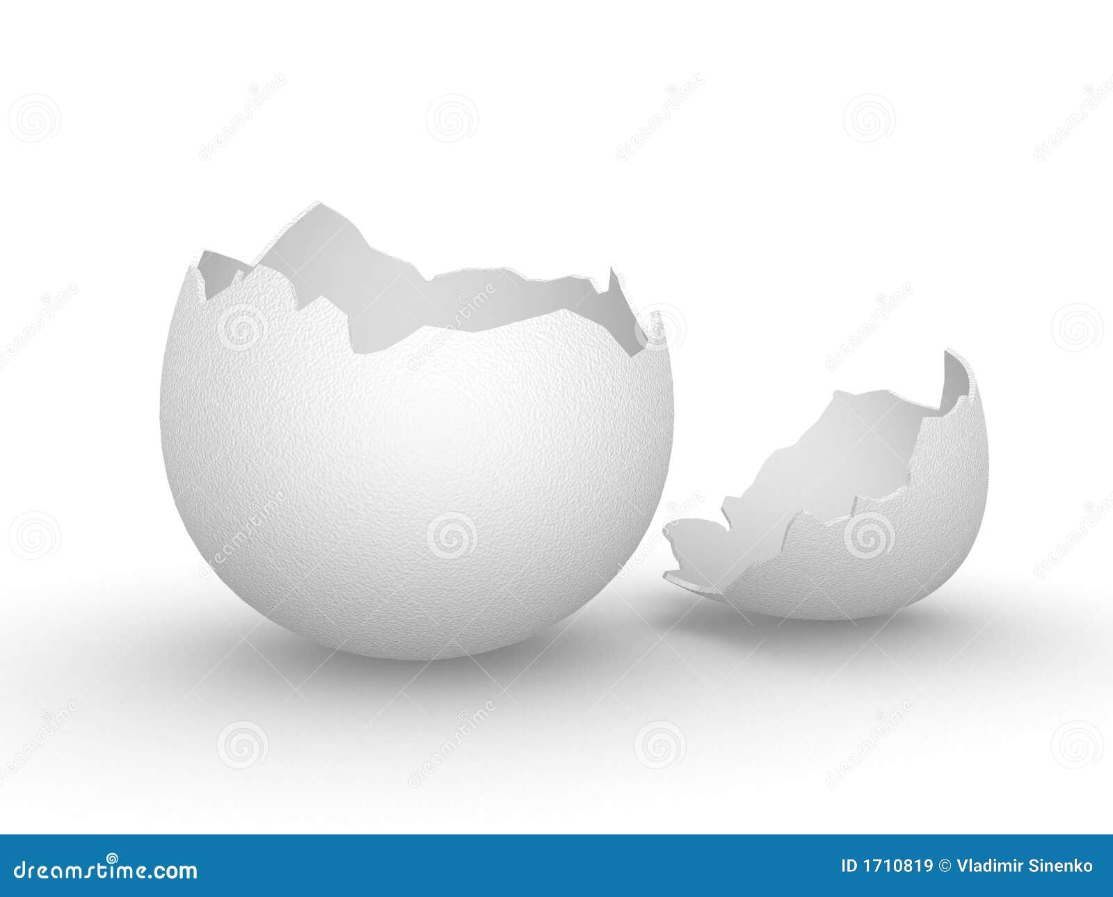 Eggshell Royalty-Free Stock Photo | CartoonDealer.com #21811371