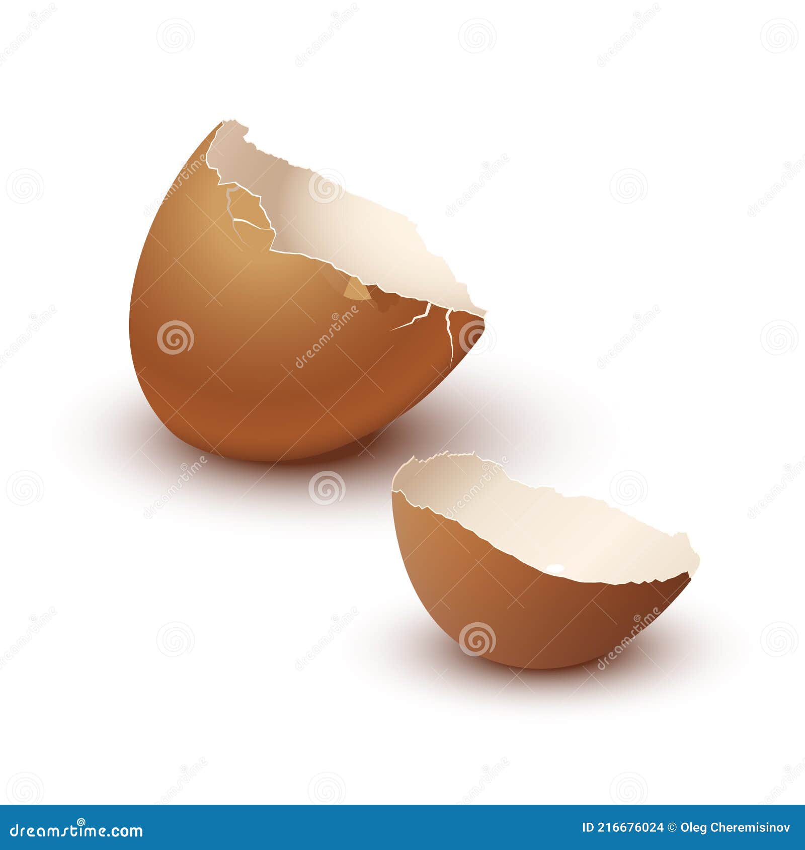 Broken Empty Eggshell Isolated on White Background. Vector Realistic ...