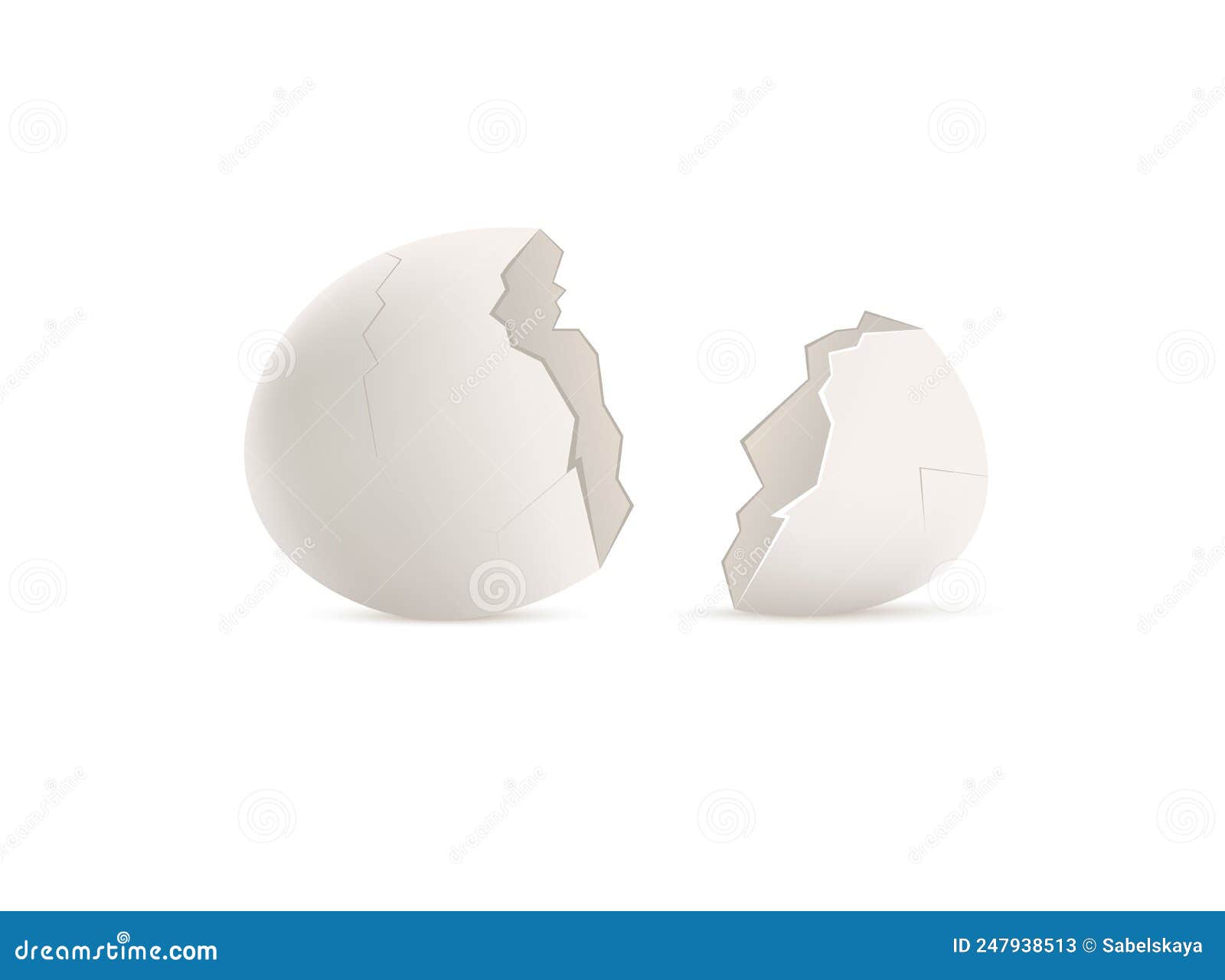 Broken Empty Eggshell Template Realistic Vector Illustration Isolated ...
