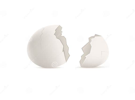 Broken Empty Eggshell Template Realistic Vector Illustration Isolated on White. Stock Vector ...