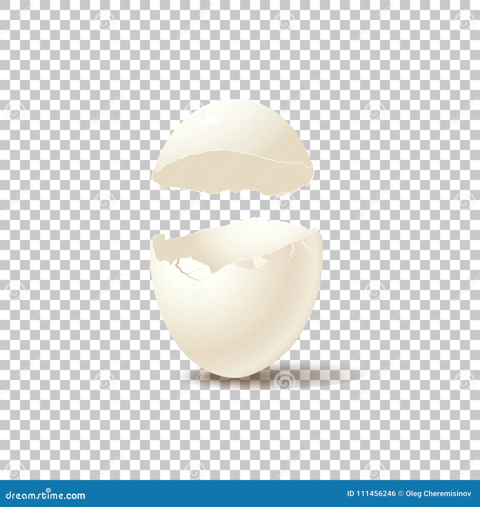 Broken Empty Eggshell Isolated On White Background. Vector Realistic ...