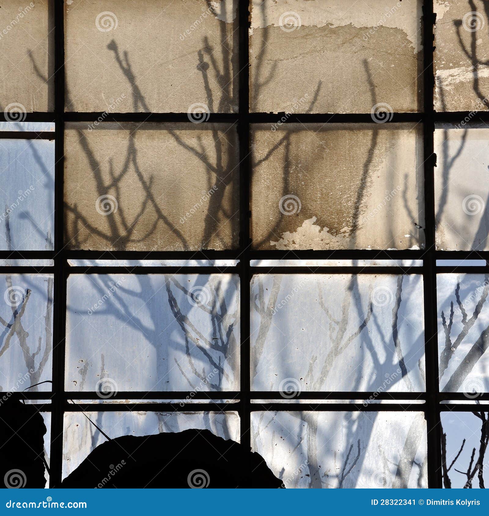Broken Factory Window and Tree Branches Stock Image - Image of broken ...