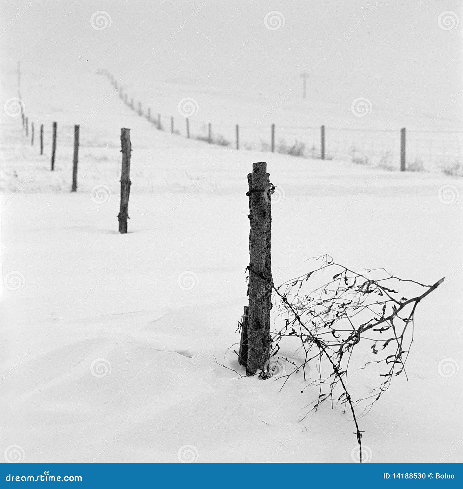 Broken fence stock photo. Image of bashang, hebei, michaelkenna - 14188530