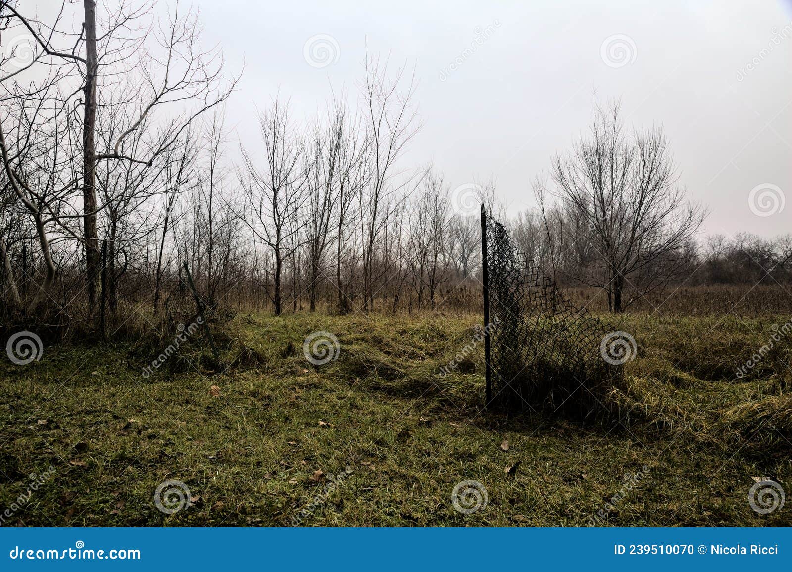 Broken Fence in a Bare Field in the Countryside on a Cloudy Day Stock ...