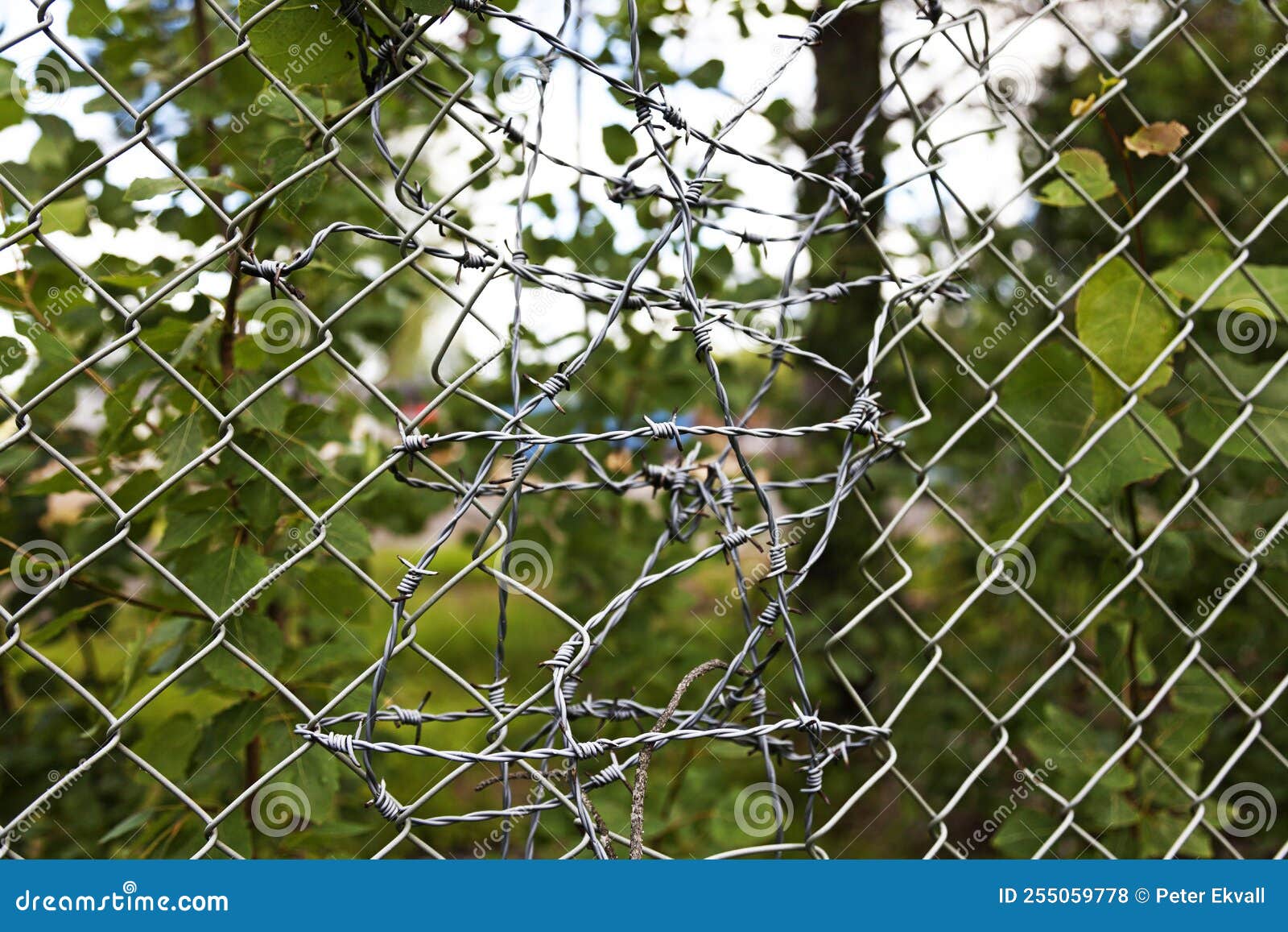 Broken Fence Mended with Barbed Wire Stock Photo - Image of torn, umea ...