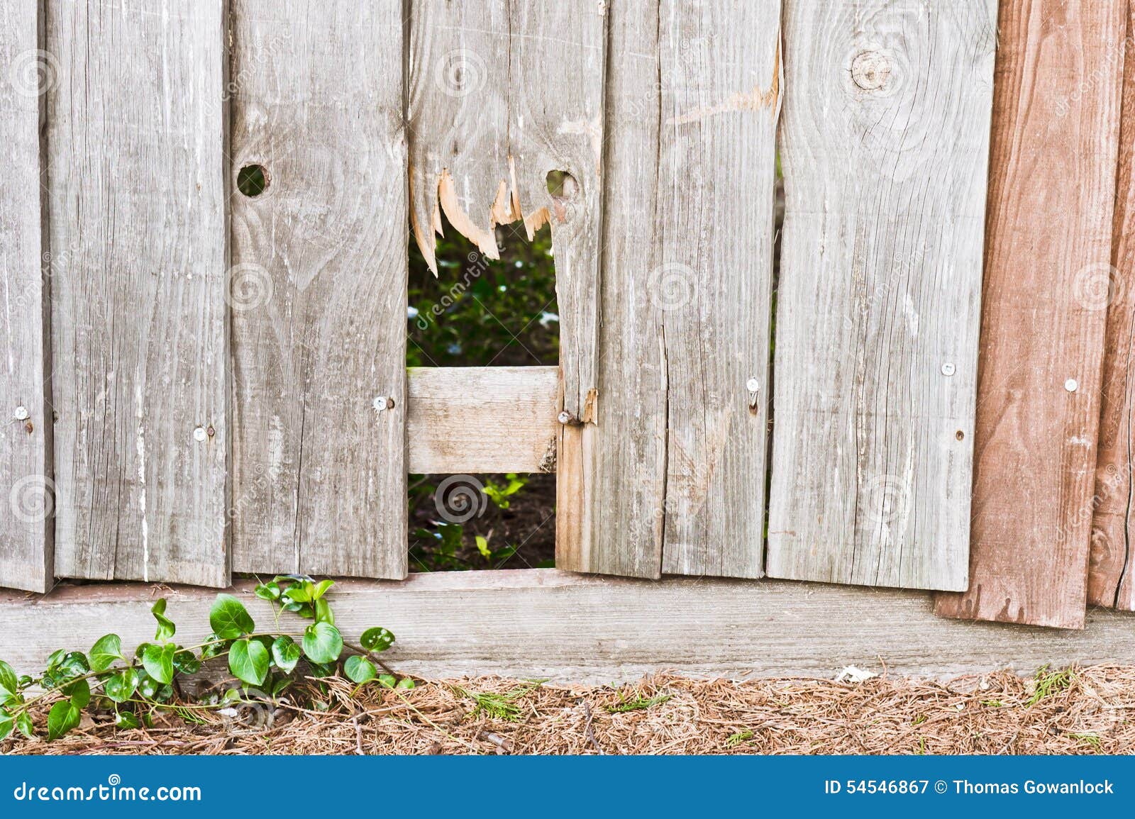 Broken fence stock image. Image of burglary, garden, architecture ...