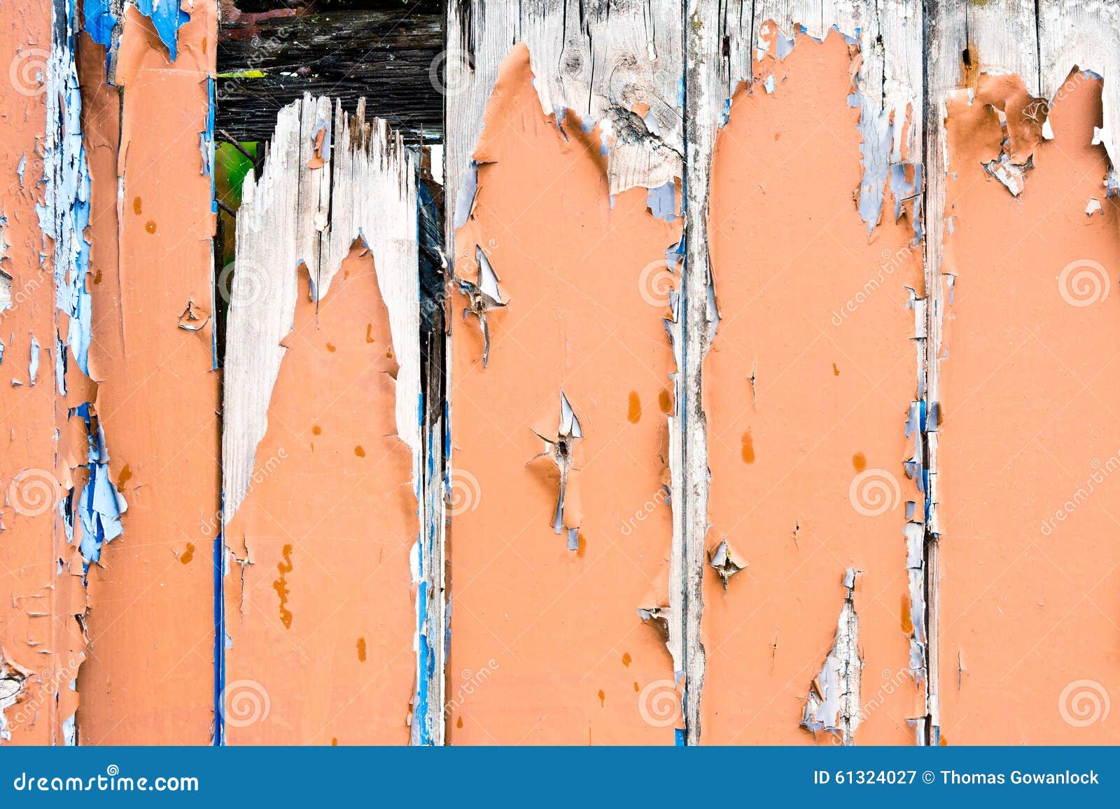 Broken fence stock image. Image of detail, plank, natural - 61324027