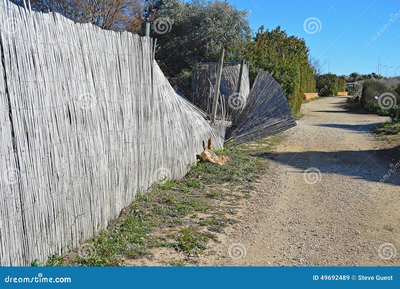 A Broken Fence - Bamboo Fencing Blown Over Stock Image - Image of green ...