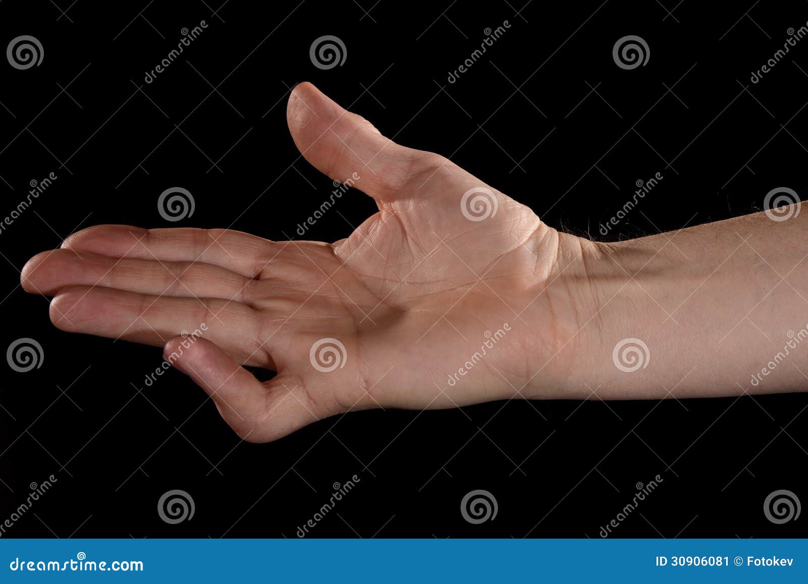 Blue Tendons Photos - Free & Royalty-Free Stock Photos from Dreamstime