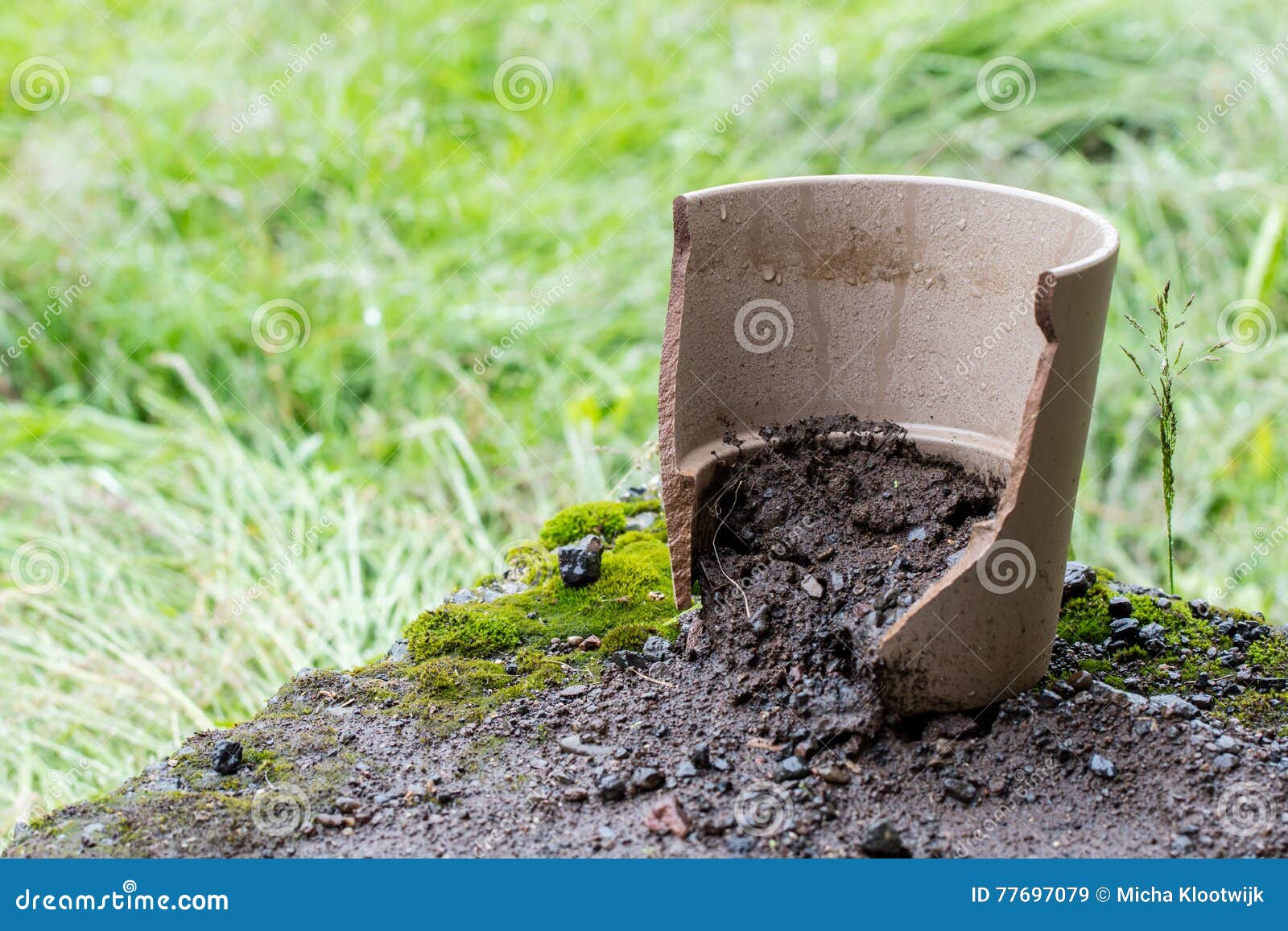 Broken flower pot stock image. Image of grow, broken - 77697079