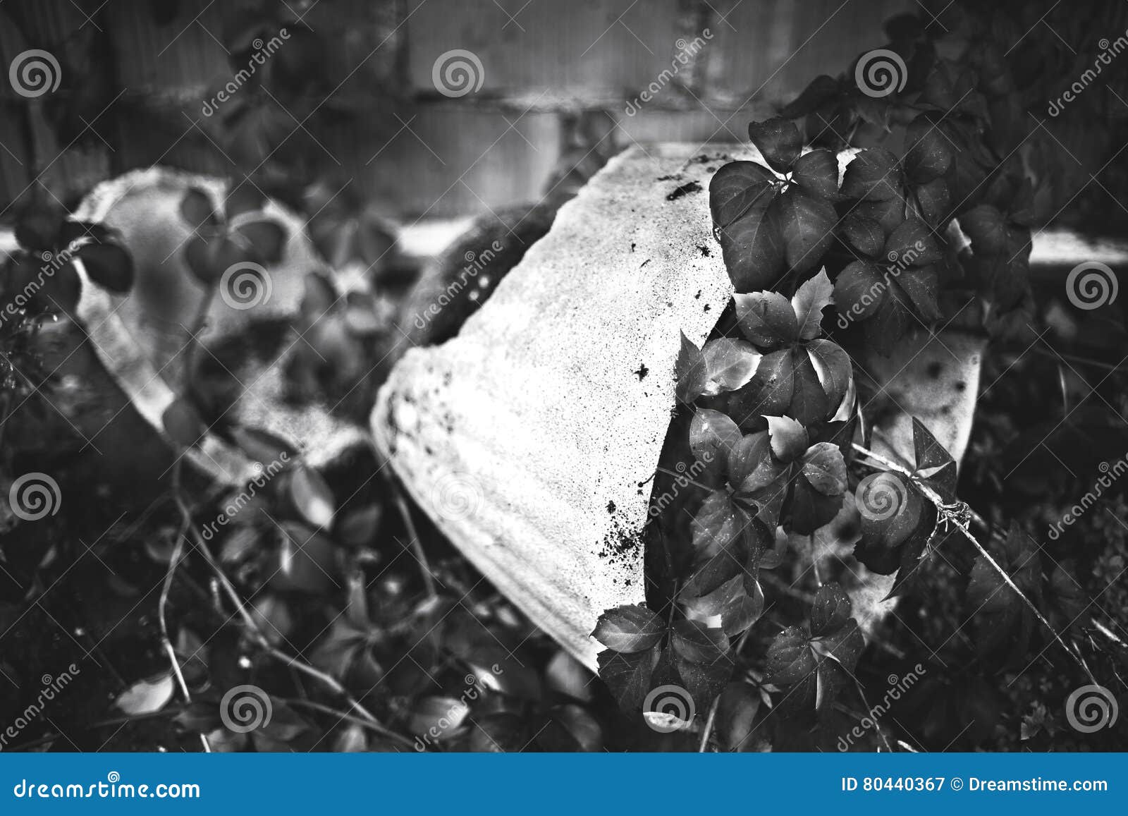 Broken flower pot. stock image. Image of ornamental, outdoors - 80440367