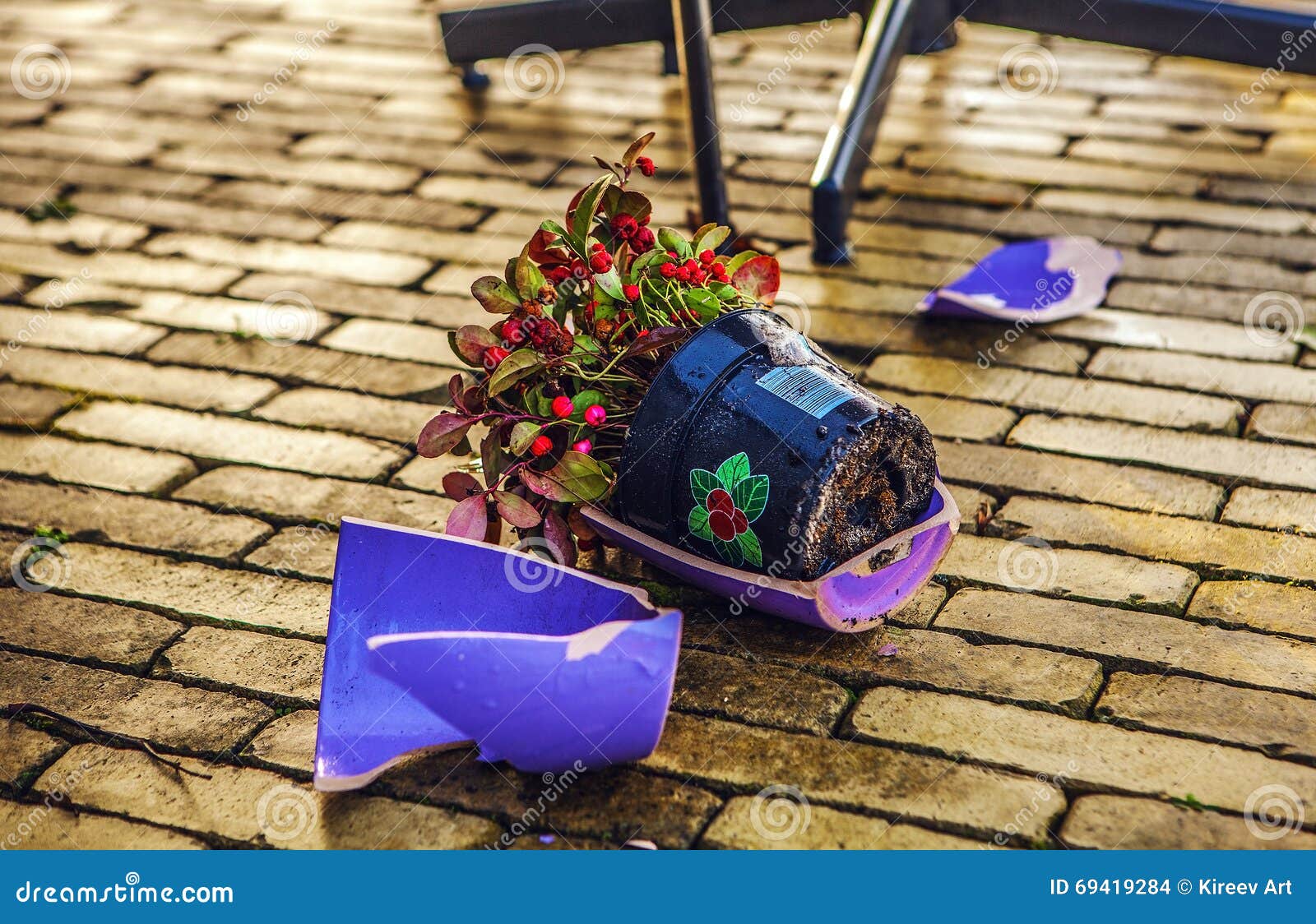 Broken Flowerpot Close-up Photo Stock Photo - Image of flowers, plants ...