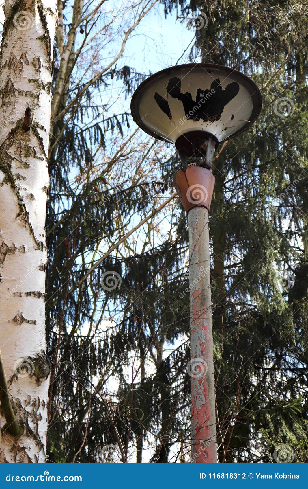 Broken and Forgotten Lamppost Stock Photo - Image of outdoor, lamp ...