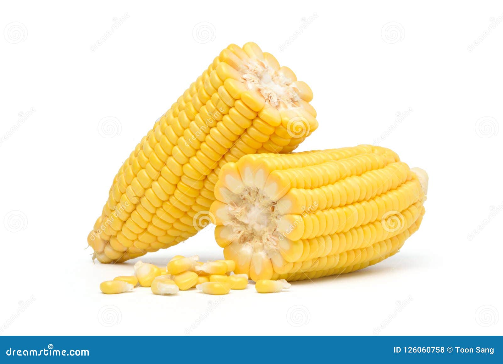 Freshly Peeled Corn Whole Peel Corn Royalty-Free Stock Photography ...