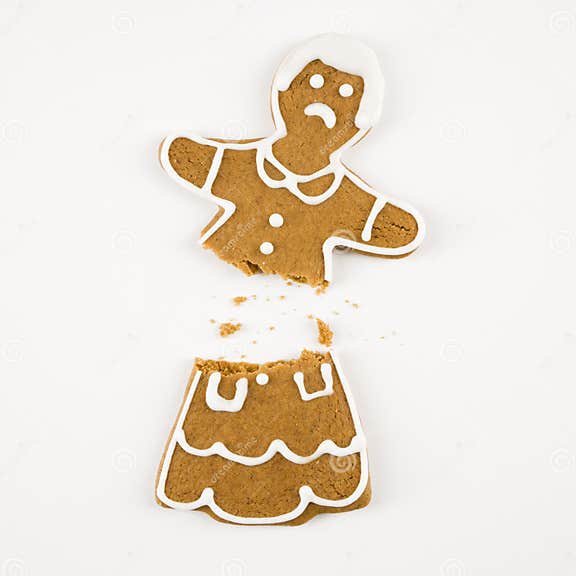 Broken gingerbread cookie. stock photo. Image of cookie - 3533396