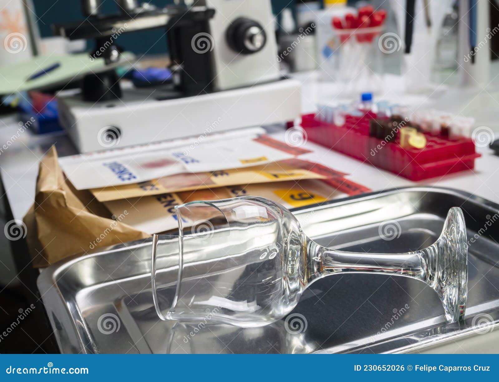 Broken Glass Bottle in Criminalistic Lab Stock Photo - Image of ...