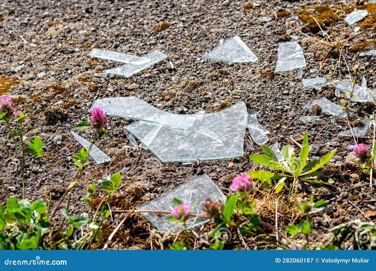 Broken Glass on Concrete As a Result of Hooliganism, War or Accident ...