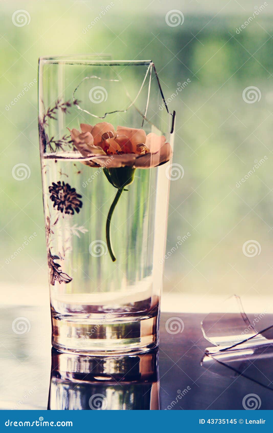 Broken glass stock image. Image of break, disappointment - 43735145