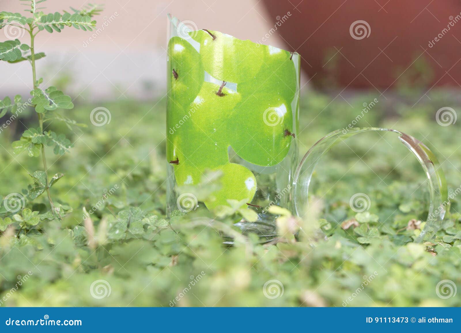 Broken glass stock image. Image of green, leaf, grass - 91113473