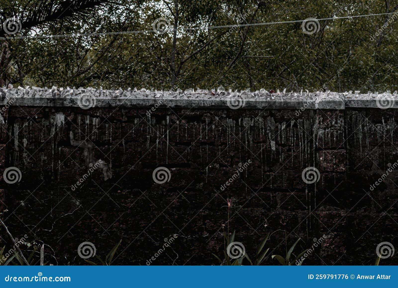 Broken Glass Pieces Fitted on Compound Wall, Boundary Wall Protection ...