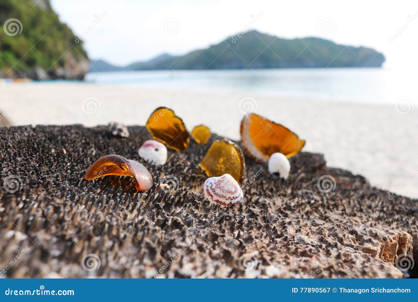Broken Glass and Shells on the Beach. Stock Image - Image of pattern ...