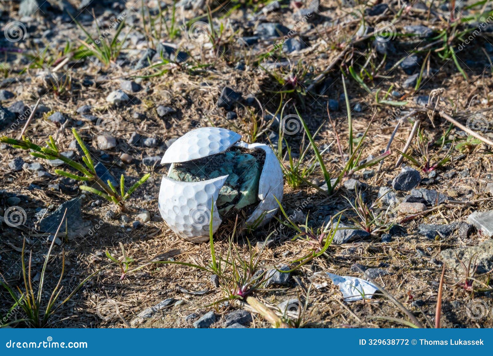 A Broken Golf Ball is Lying Next To the Golf Site Stock Photo - Image ...