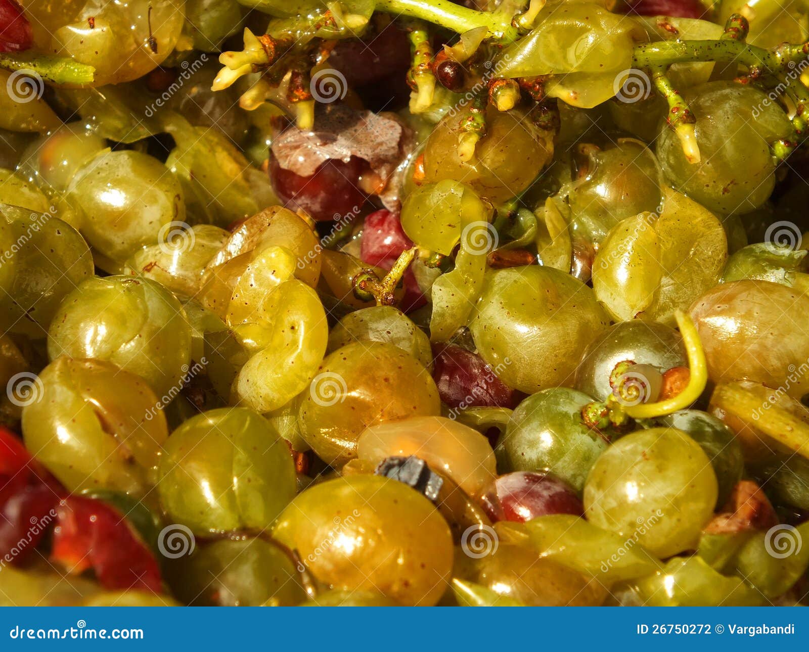 Broken grapes stock photo. Image of break, glass, wineglass - 26750272