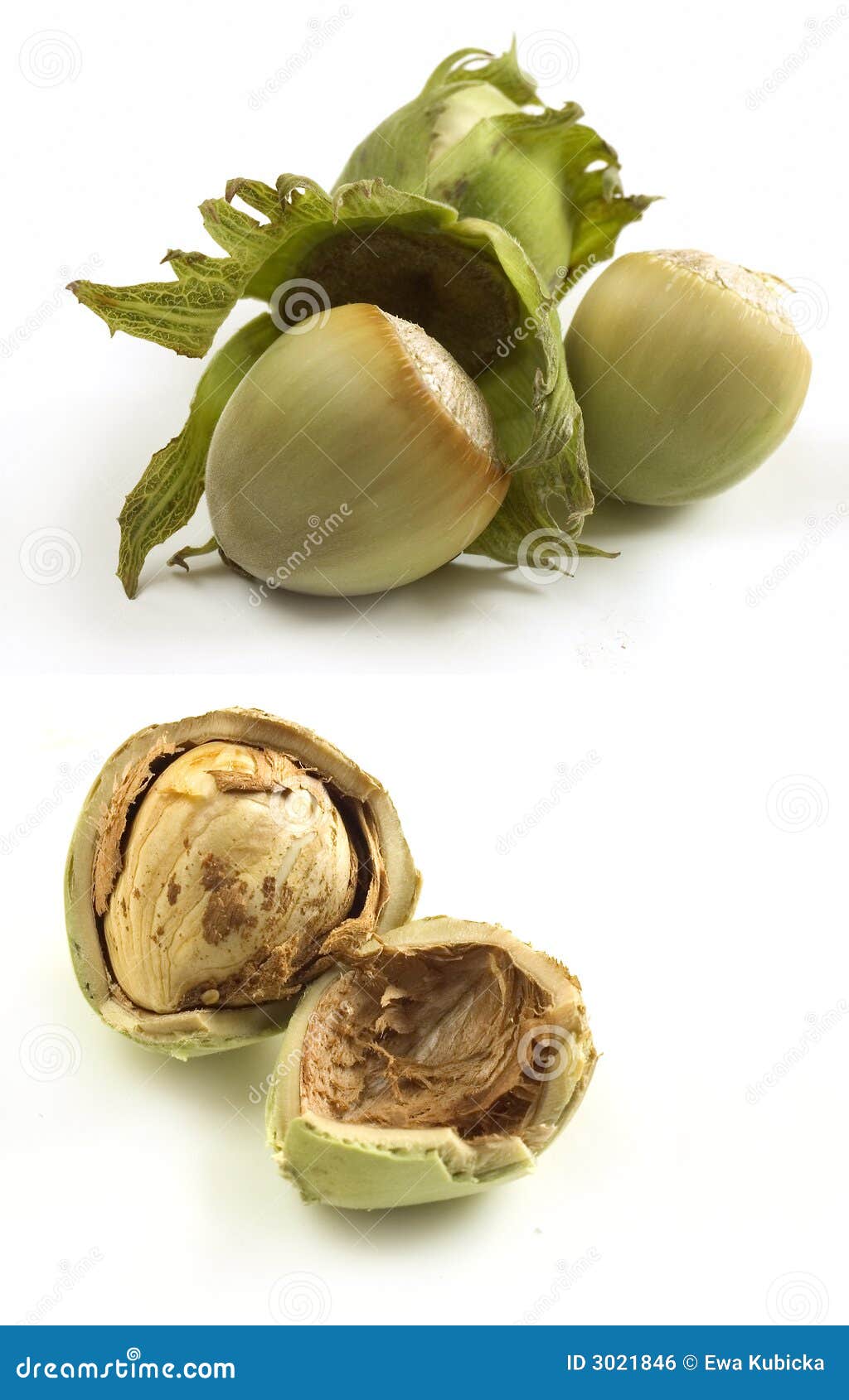 Broken hazelnut stock photo. Image of diet, gourmet, food - 3021846