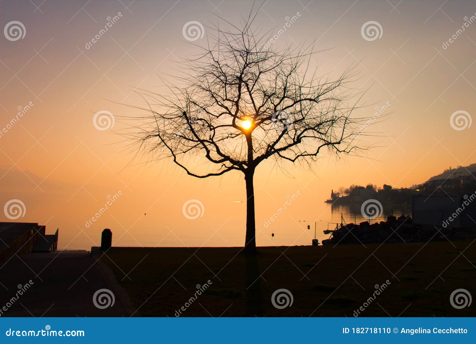 Broken Heart Shape Tree Branches with Sunset in Its Center Stock Photo ...