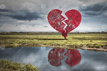 Broken heart tree stock image. Image of artwork, leaf - 29551955
