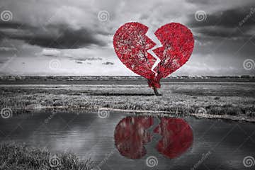 Broken Heart Tree. Black and White Stock Image - Image of break, pond ...