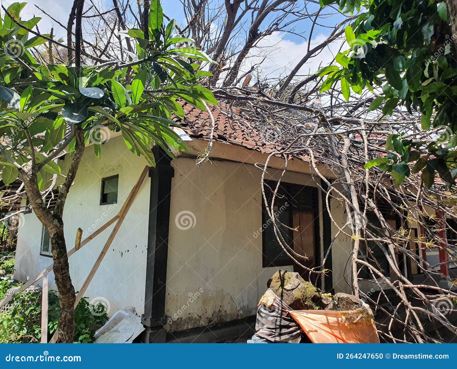 Broken Home House Break by the Tree Stock Photo - Image of village ...
