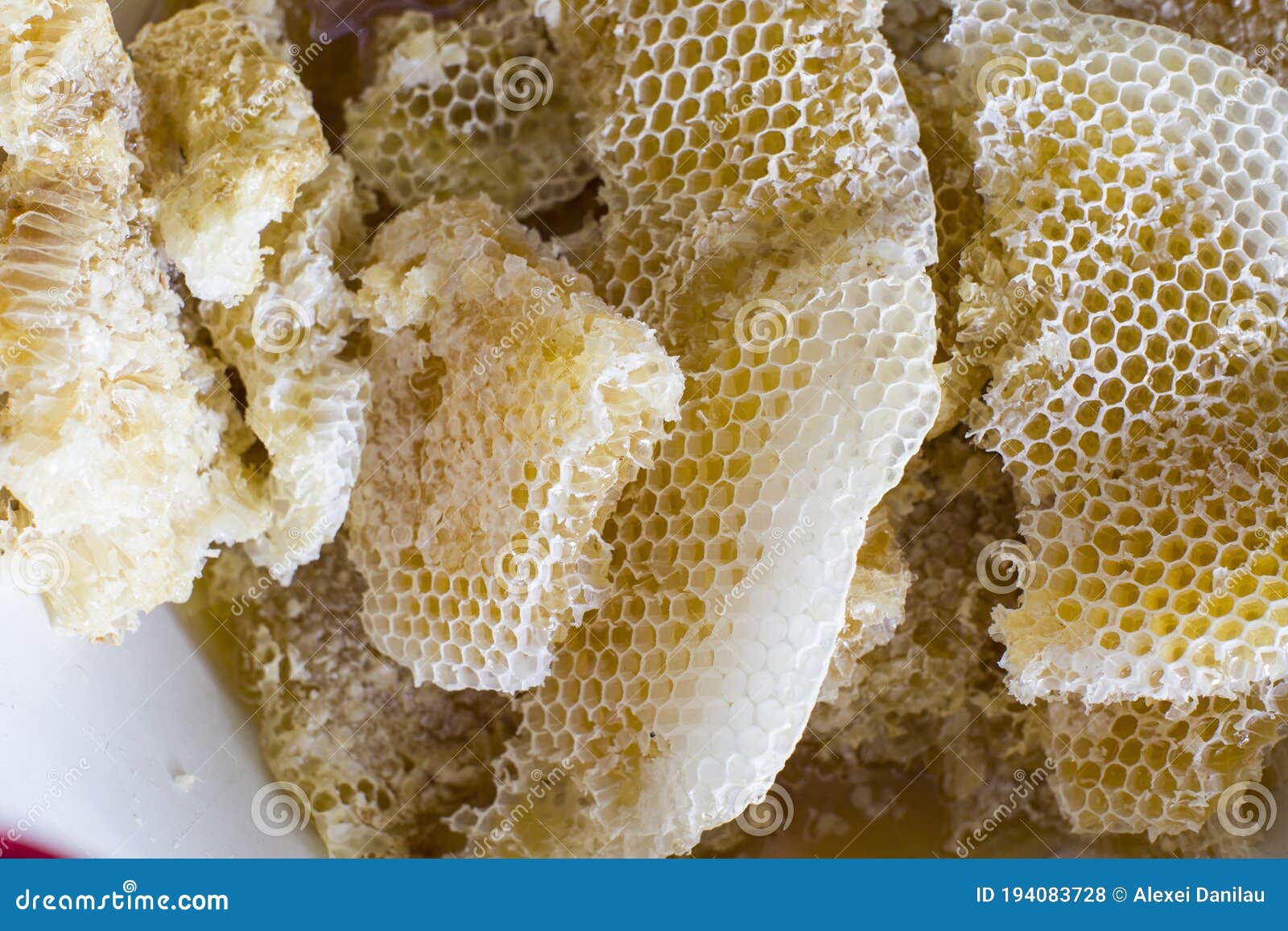 Broken Honeycomb of Bees Lay Stock Photo - Image of medicine, broken ...