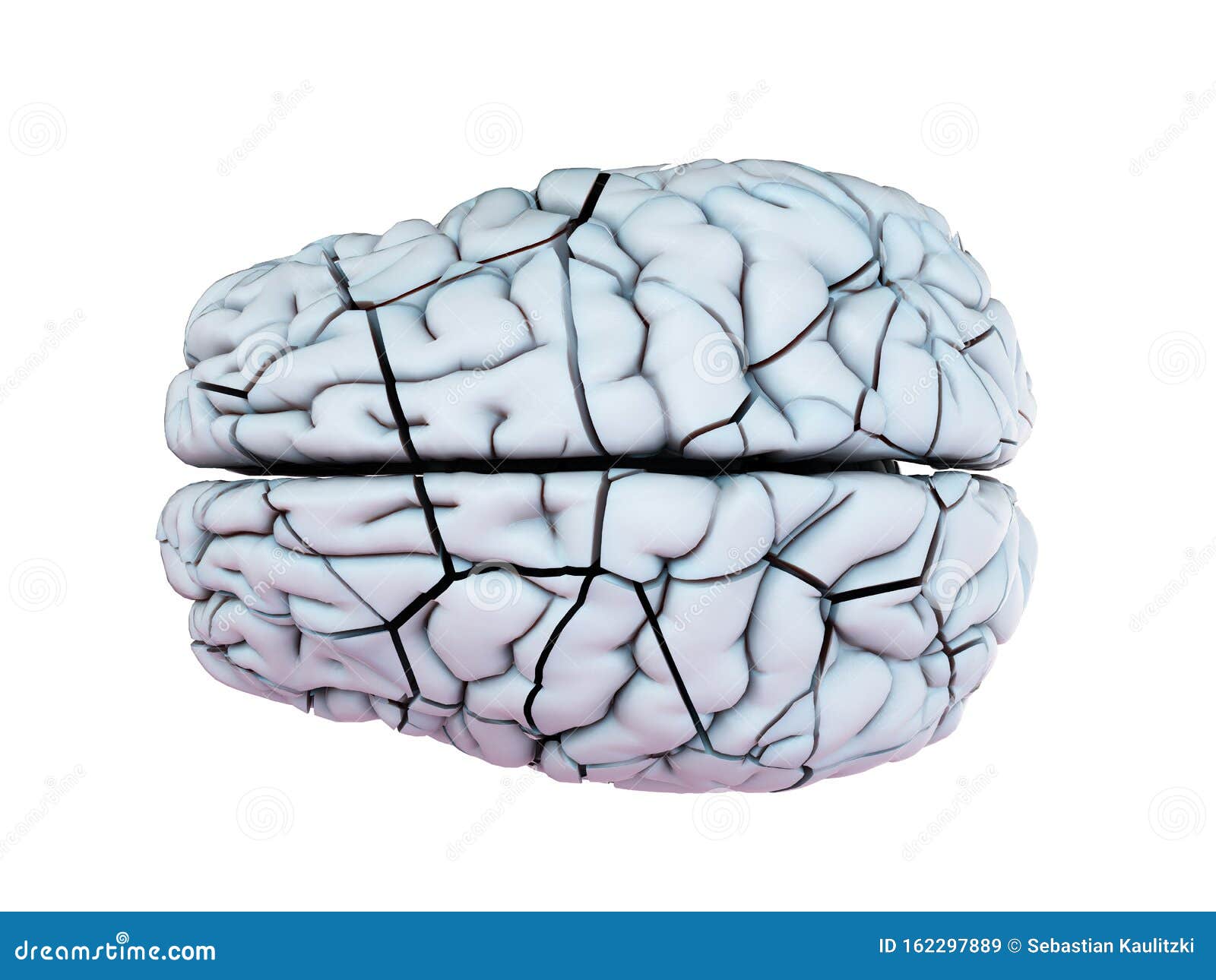 A Broken Human Brain Royalty-Free Illustration | CartoonDealer.com ...