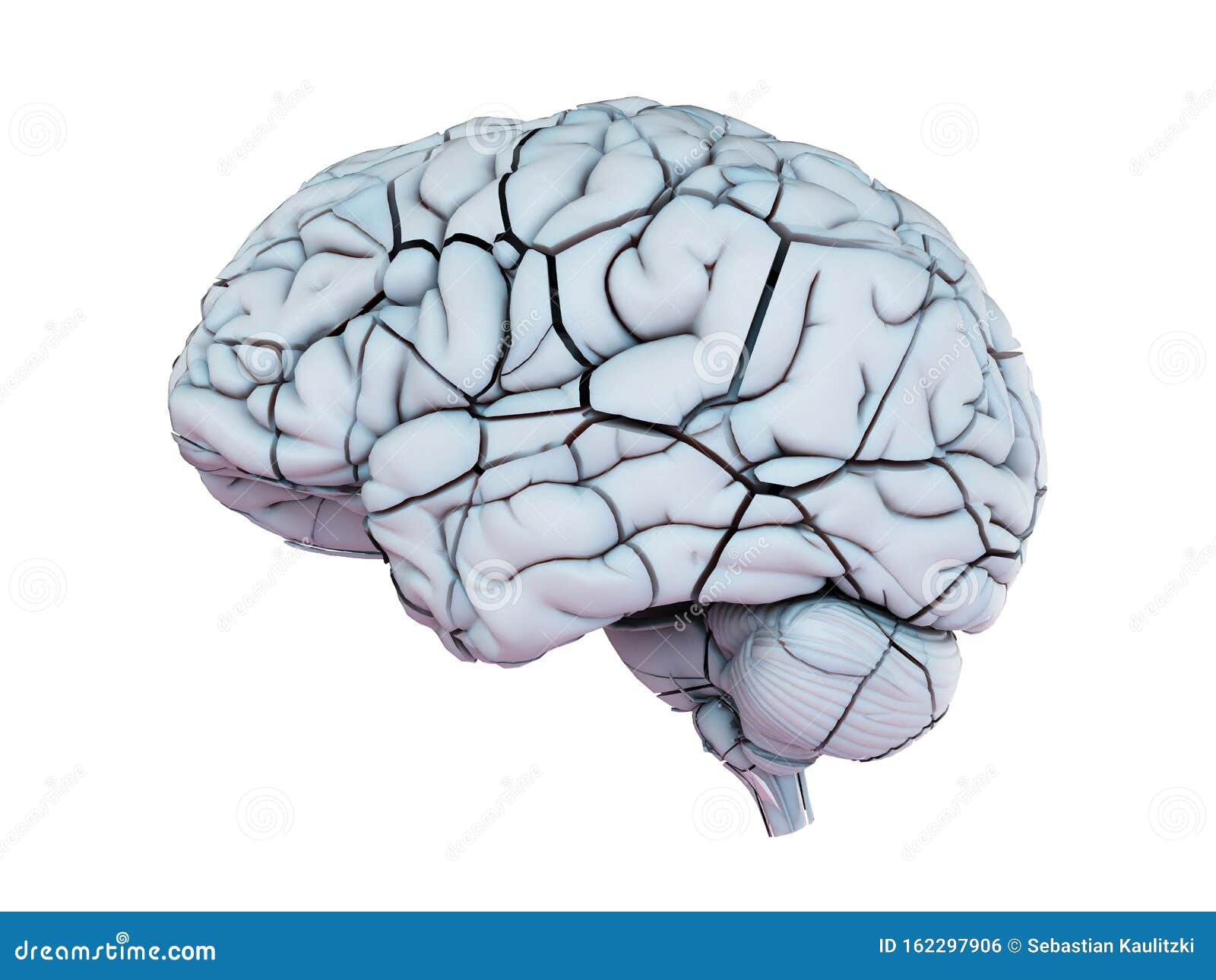 A Broken Human Brain Royalty-Free Illustration | CartoonDealer.com ...