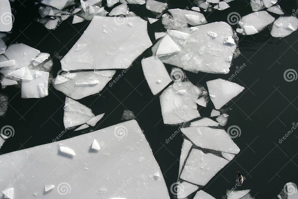 Broken Ice Sheet stock photo. Image of ocean, white, iceberg - 4913066