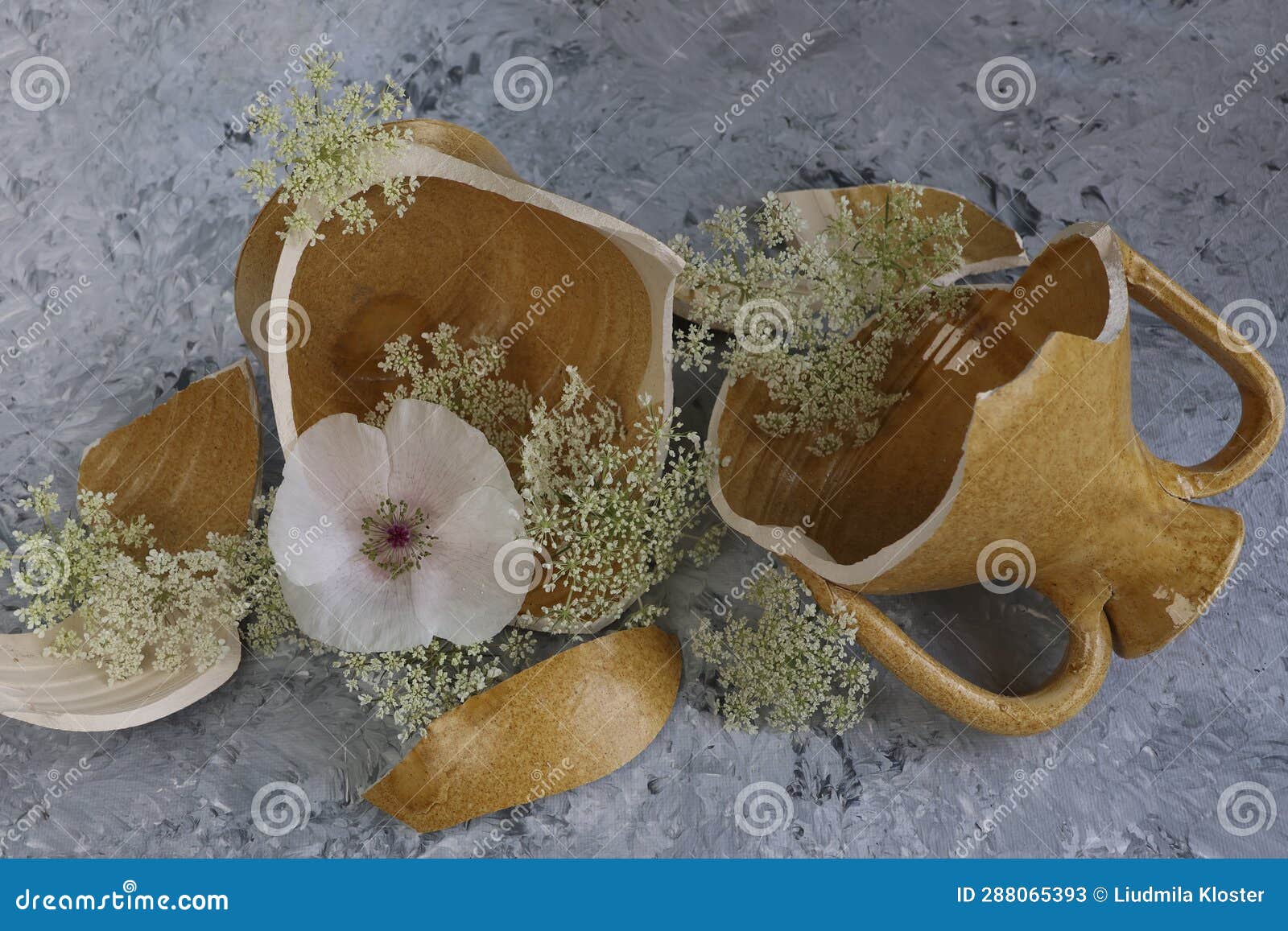 Broken jug stock image. Image of rock, flower, poppy - 288065393