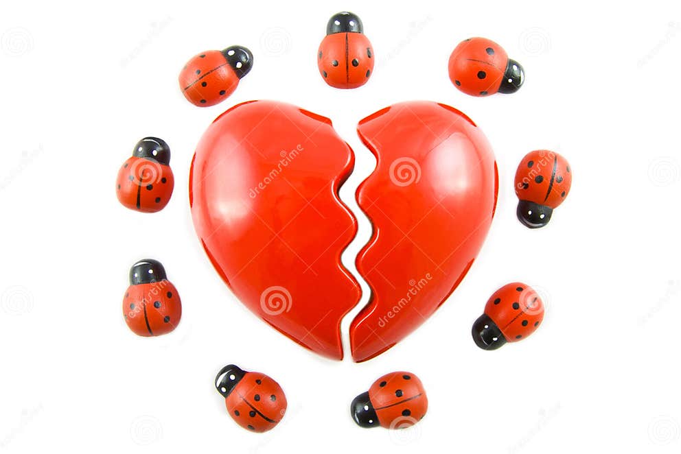 Broken ladybug love stock image. Image of broken, insect - 11936853