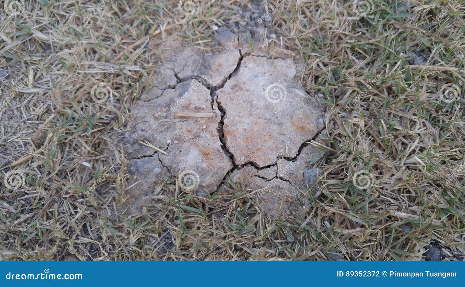 Broken Land and a Little Grass Survivor. Stock Photo - Image of dirt ...