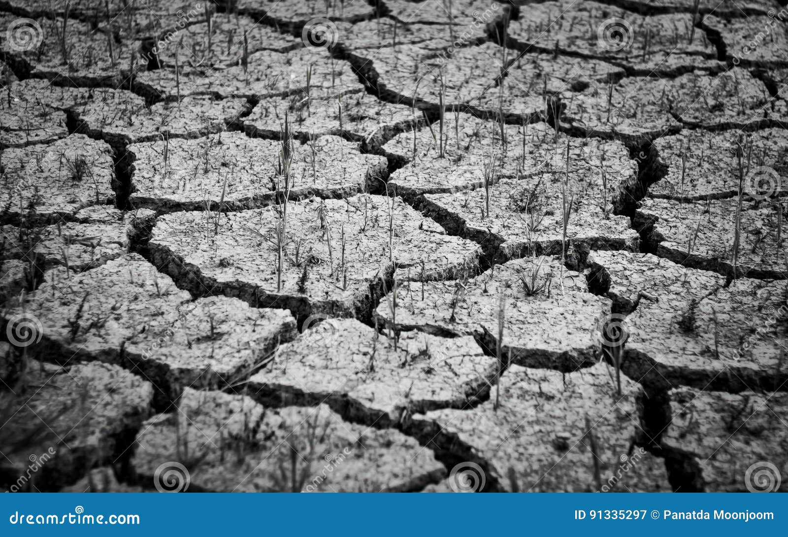 Broken lands stock image. Image of broken, weather, nature - 91335297