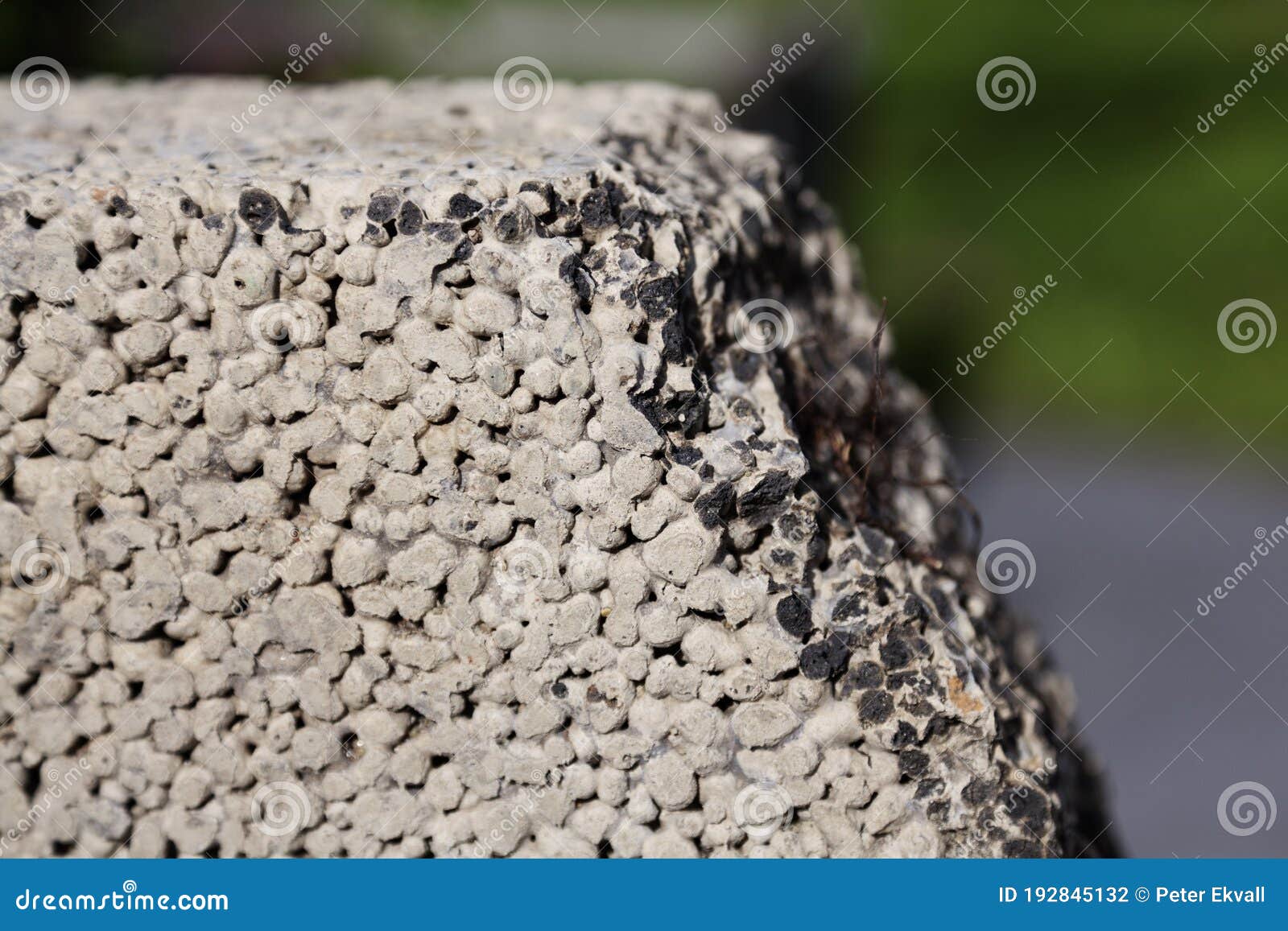 A Broken Leca Block Seen from the Side Stock Photo - Image of ...