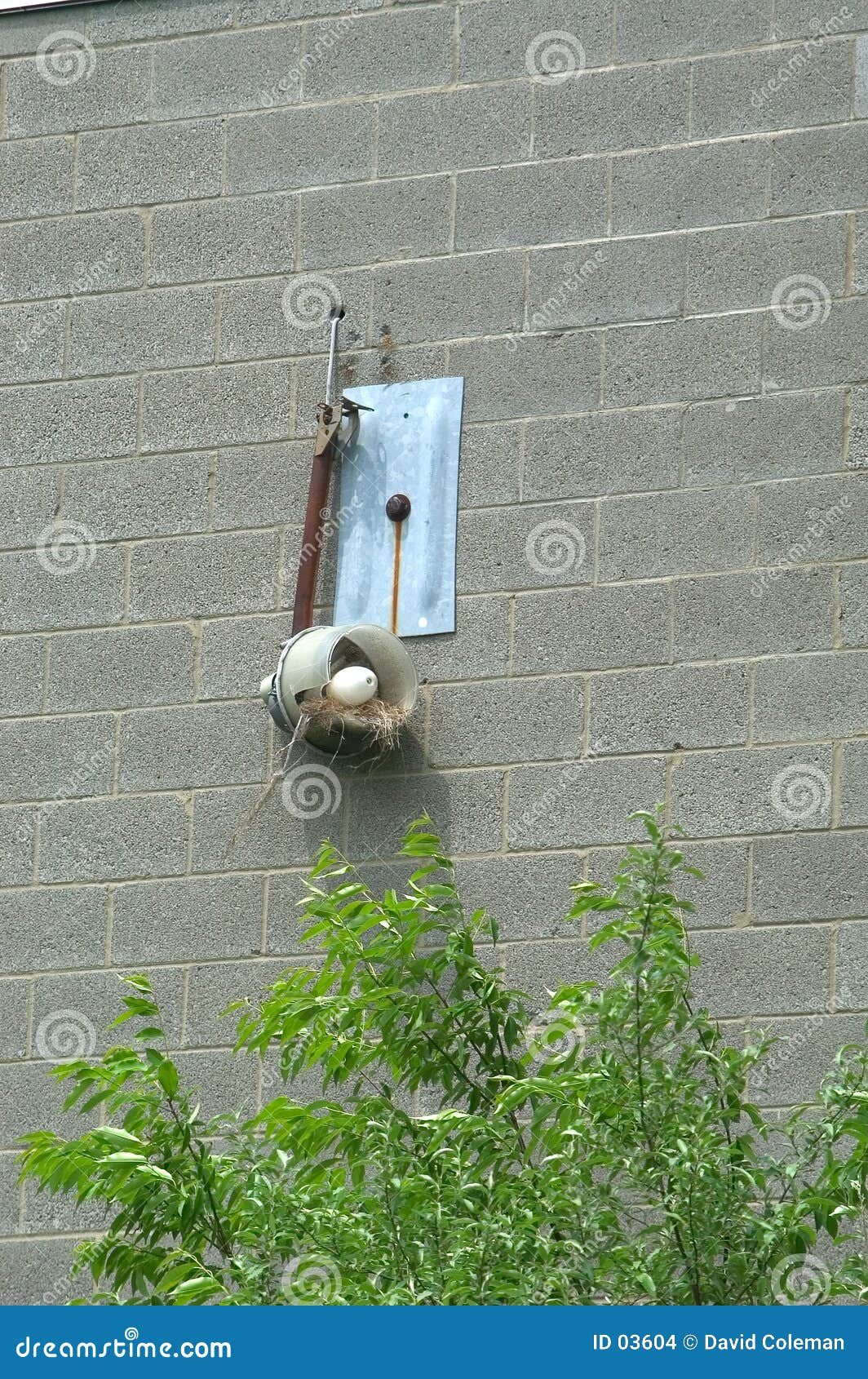 Broken Light - Bird s Nest stock photo. Image of bird, blocks - 3604