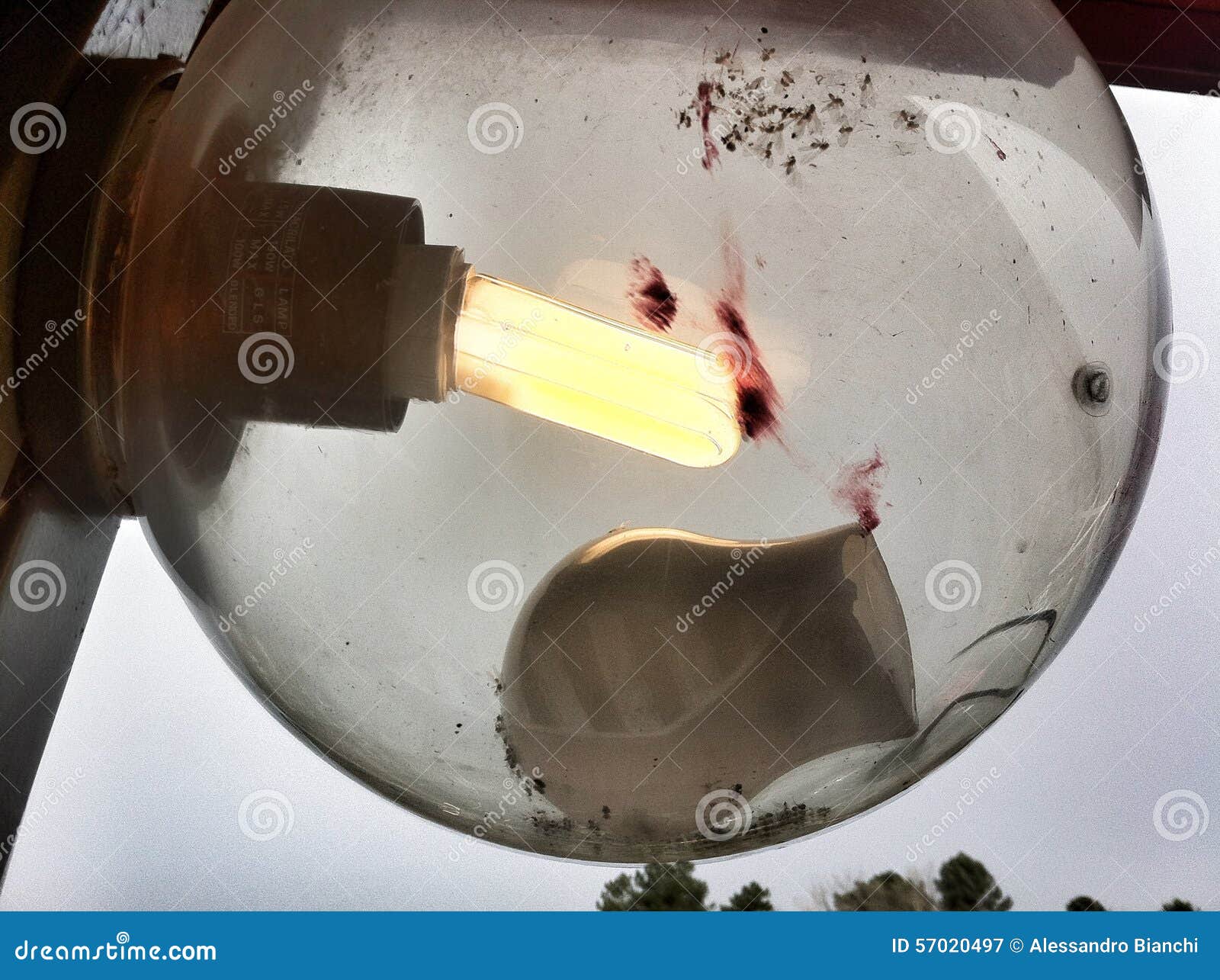 Broken light bulb stock image. Image of waste, bulb, closeup - 57020497