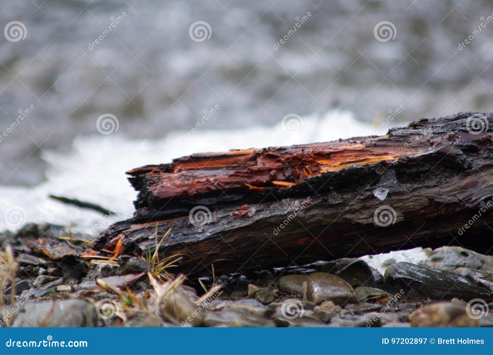 Broken log by stream stock image. Image of brown, stone - 97202897