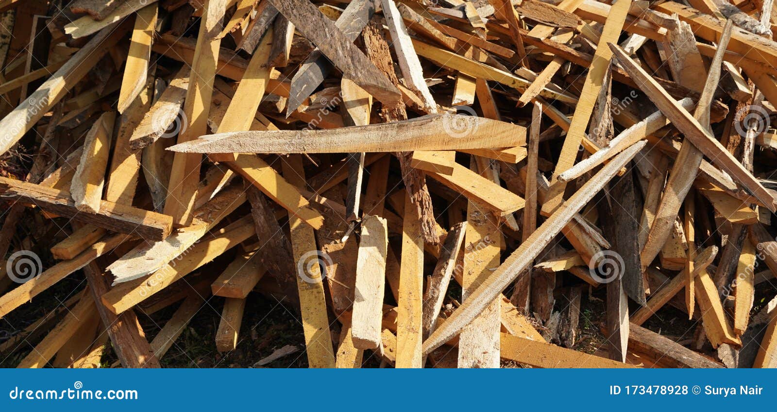 Broken Long Chunks of Tree Trunk. Close Up Broken Pieces of Wood. Pine ...