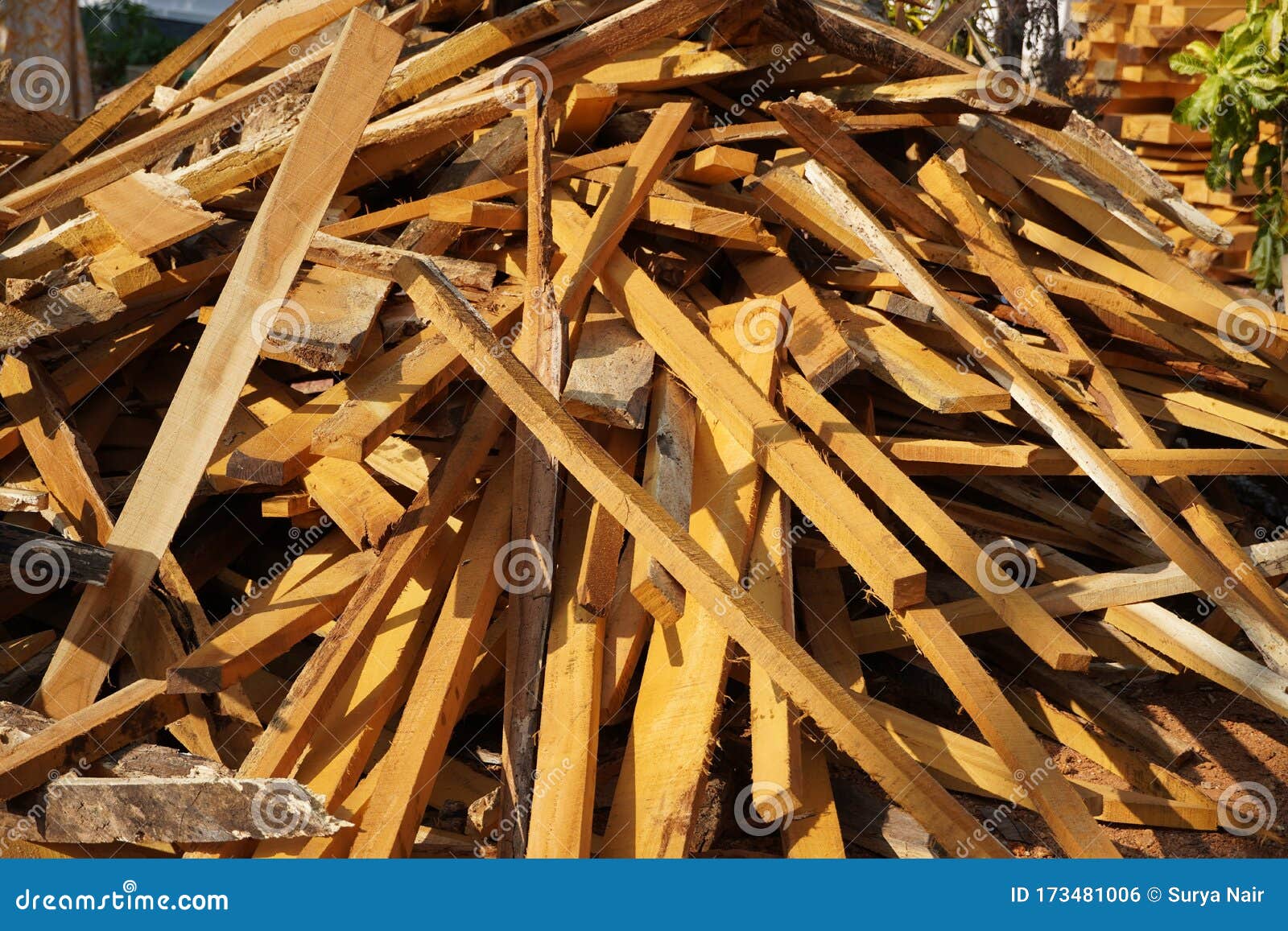 Broken Long Chunks of Tree Trunk. Close Up Broken Pieces of Wood. Pine ...
