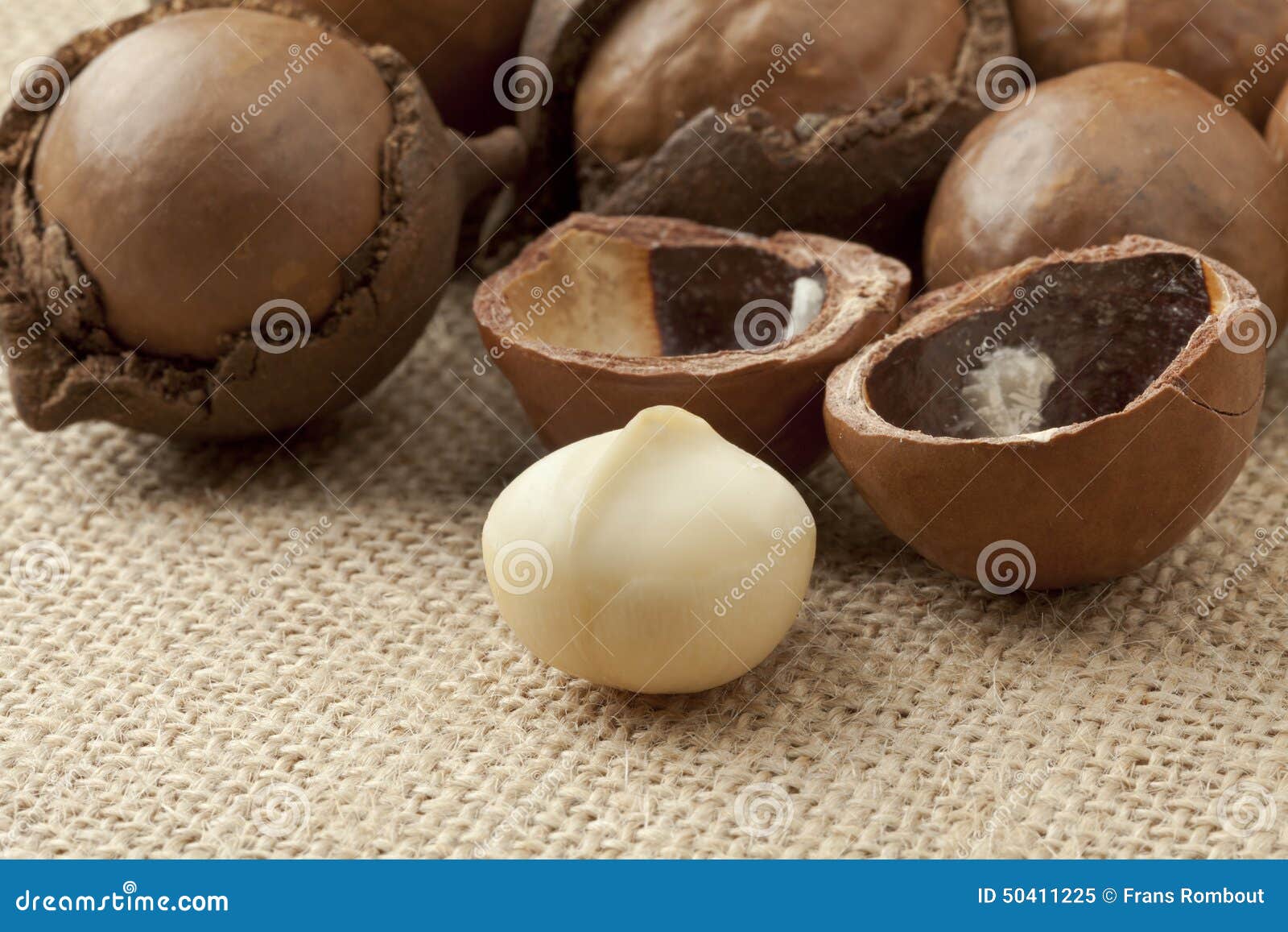 Broken macadamia nuts stock image. Image of queensland - 50411225