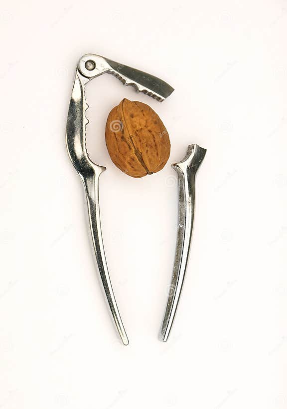 Broken nut cracker stock photo. Image of power, break - 11467716